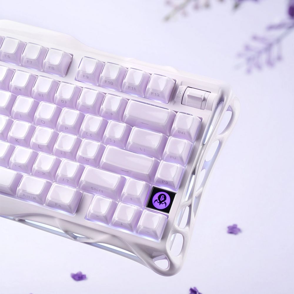 The GravaStar Aesthetics Collection
